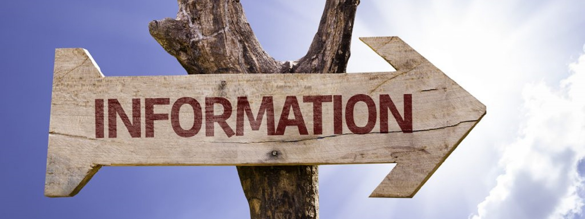 Key Information - The Forest School